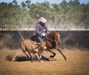 GeoSnapShot | Find photos from Yelvertoft Campdraft and Rodeo